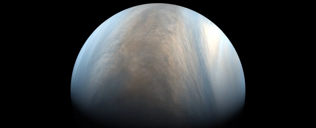 Microbial Life on Venus? Here’s What You Really Need to Know About The ...