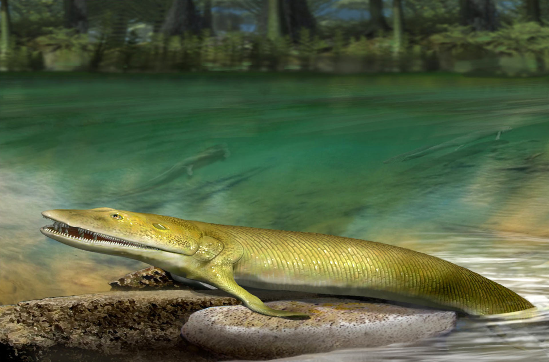 Discover the four-legged animal that lived more than 380 million years ...