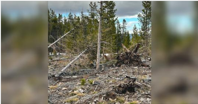 Hiker Hears Cry For Help On A Mountain And Solves A Months-Long Mystery ...