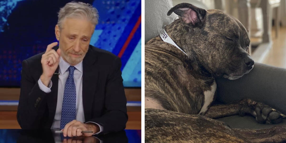 Jon Stewart Shares Emotional Tribute To His Beloved Dog Who Passed Away ...