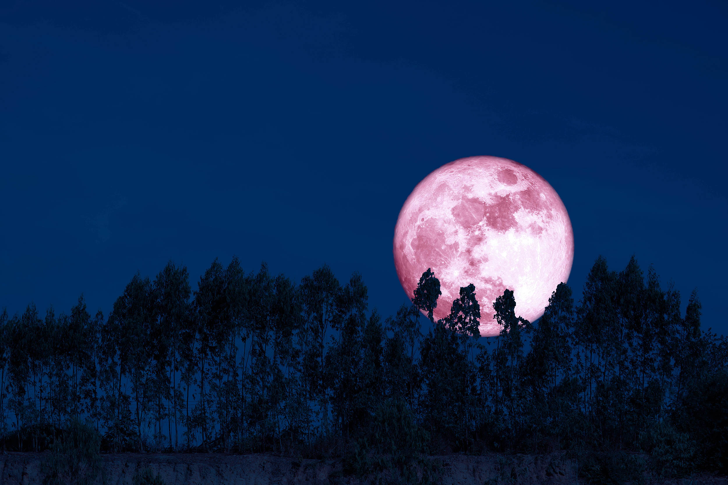 April’s Full Pink Moon will rise as a ‘micromoon’ this weekend — what ...