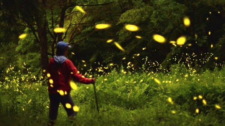 The Shortest Driving Route Through All 48 Contiguous USA States ...