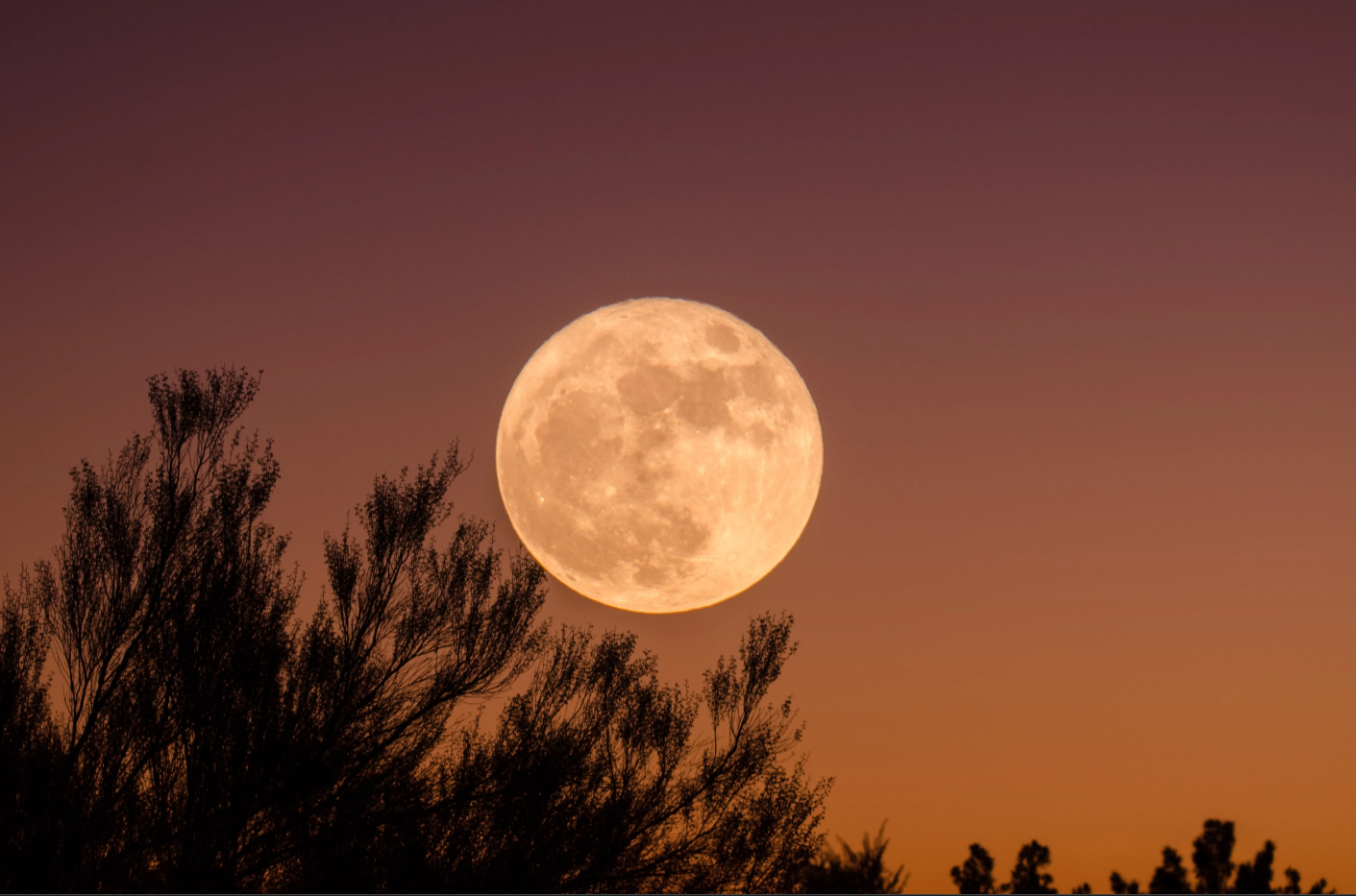 July full moon 2025 rises this week: Here’s what to expect from the ...